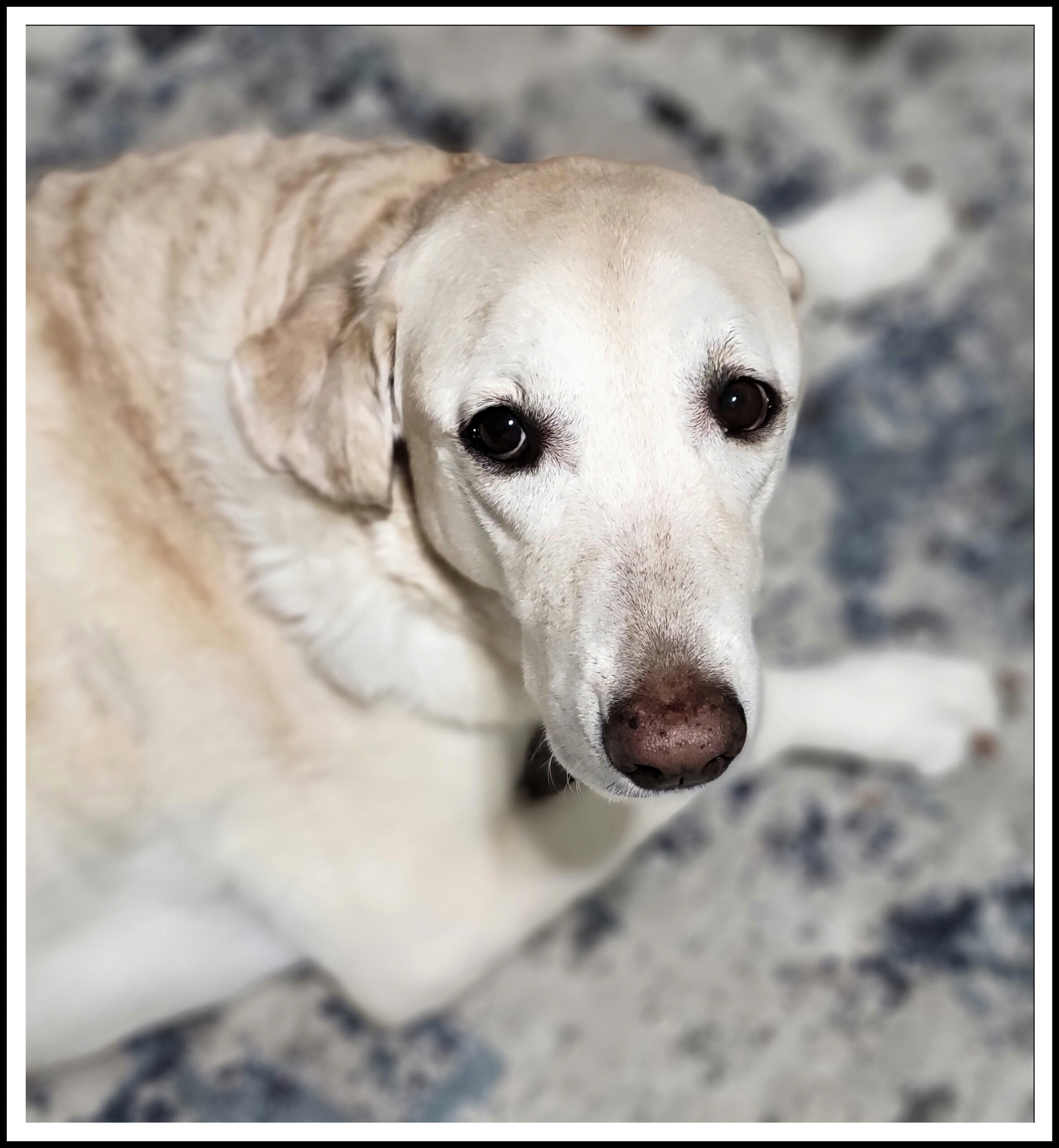 POD: Relaxing Ruby – Geek with Kids