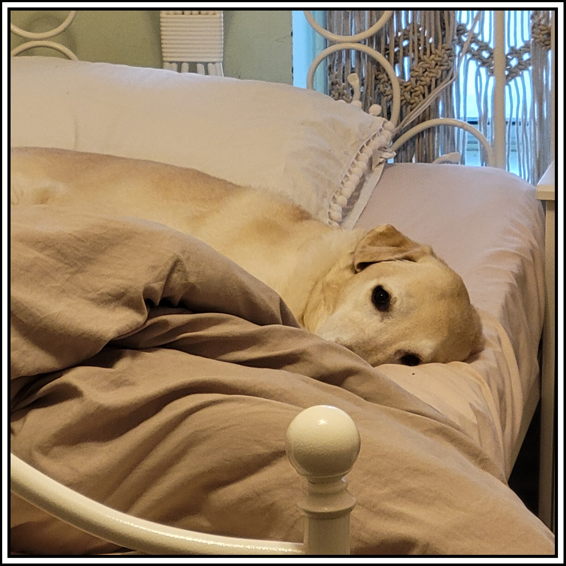 POD: Sleeping Ruby – Geek with Kids