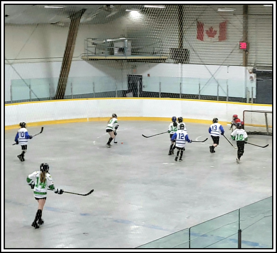POD: Ball Hockeys Back – Geek with Kids