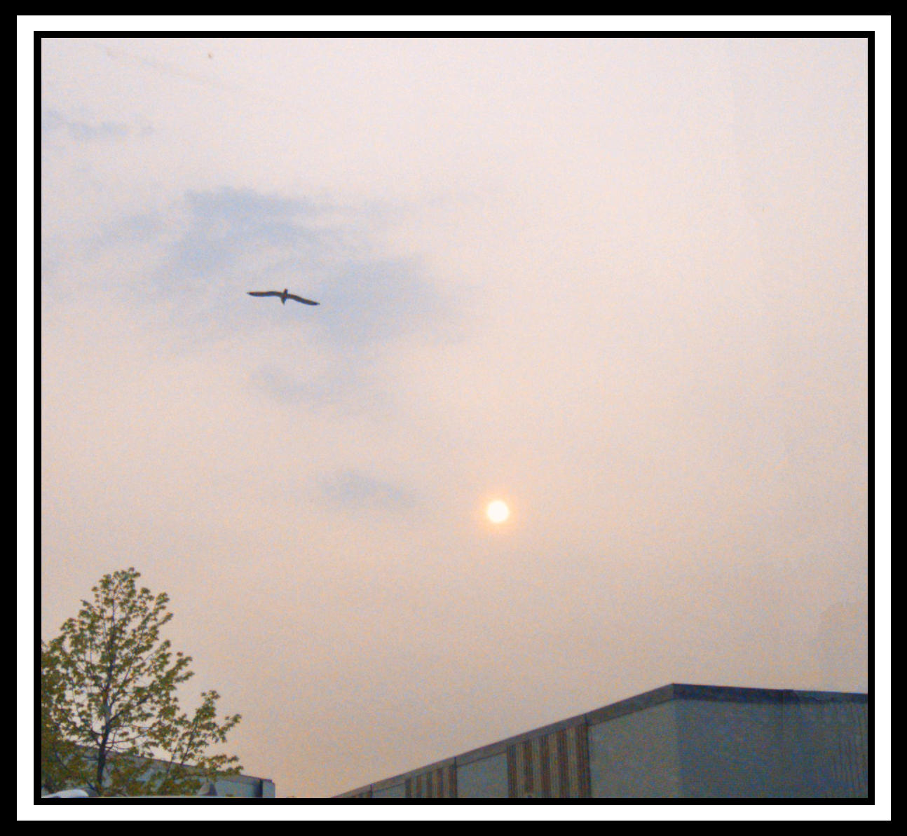 POD: Is that the Sun or Moon? – Geek with Kids