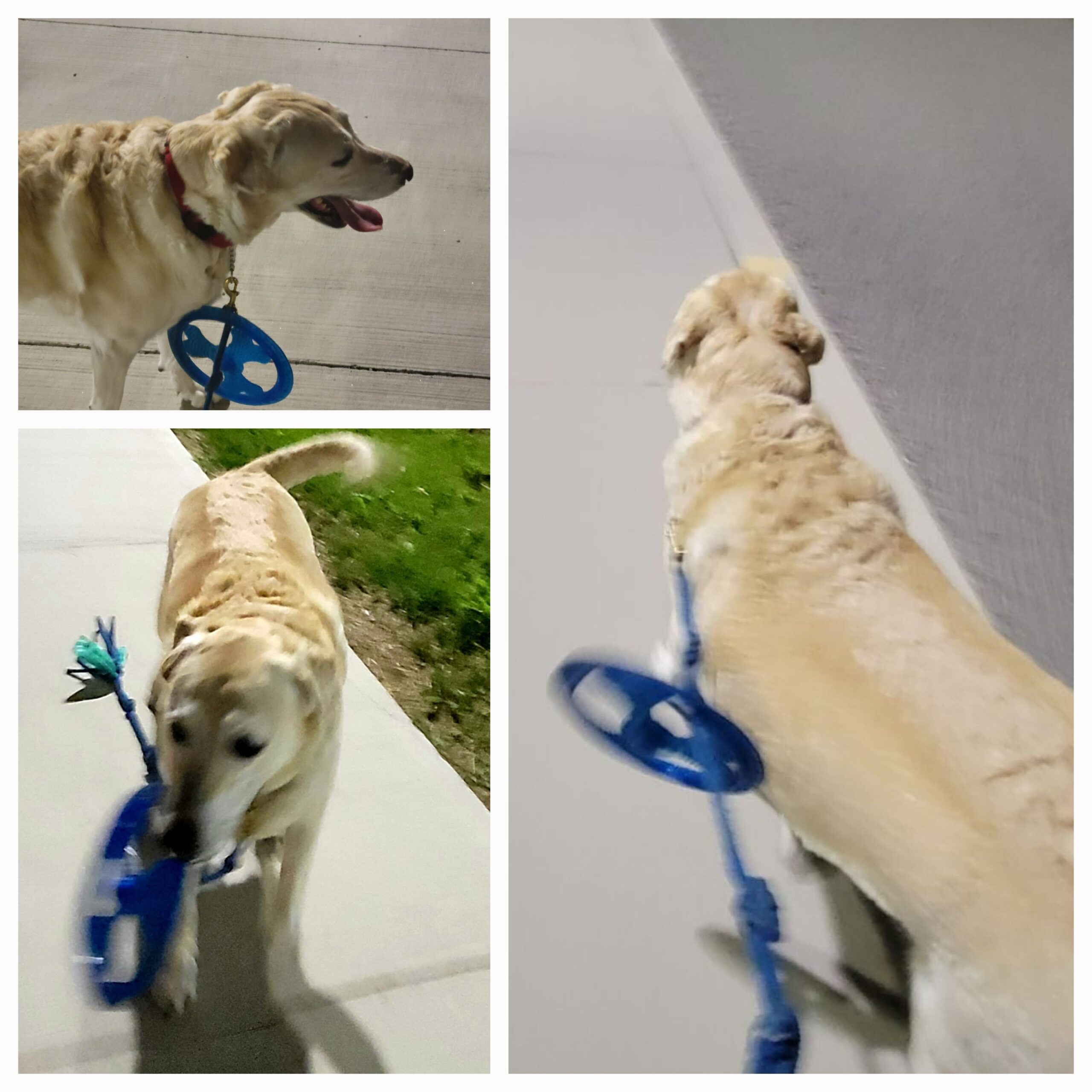 POD: Walking With Ruby – Geek with Kids